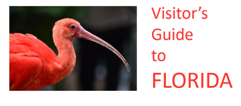 how-to-use-the-eyedropper-in-powerpoint-to-match-colors