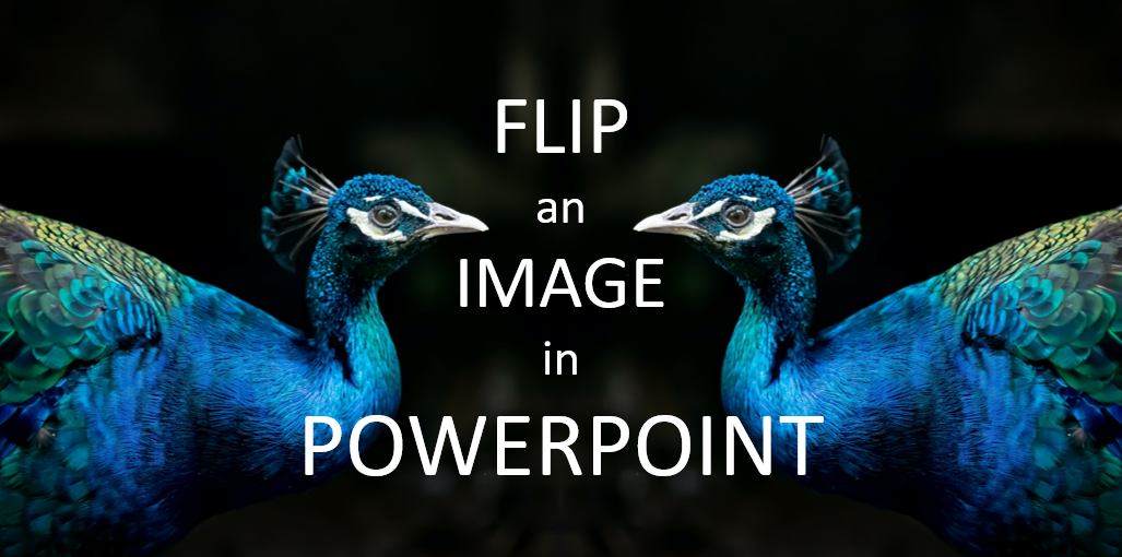 Flip Archives Avantix Learning